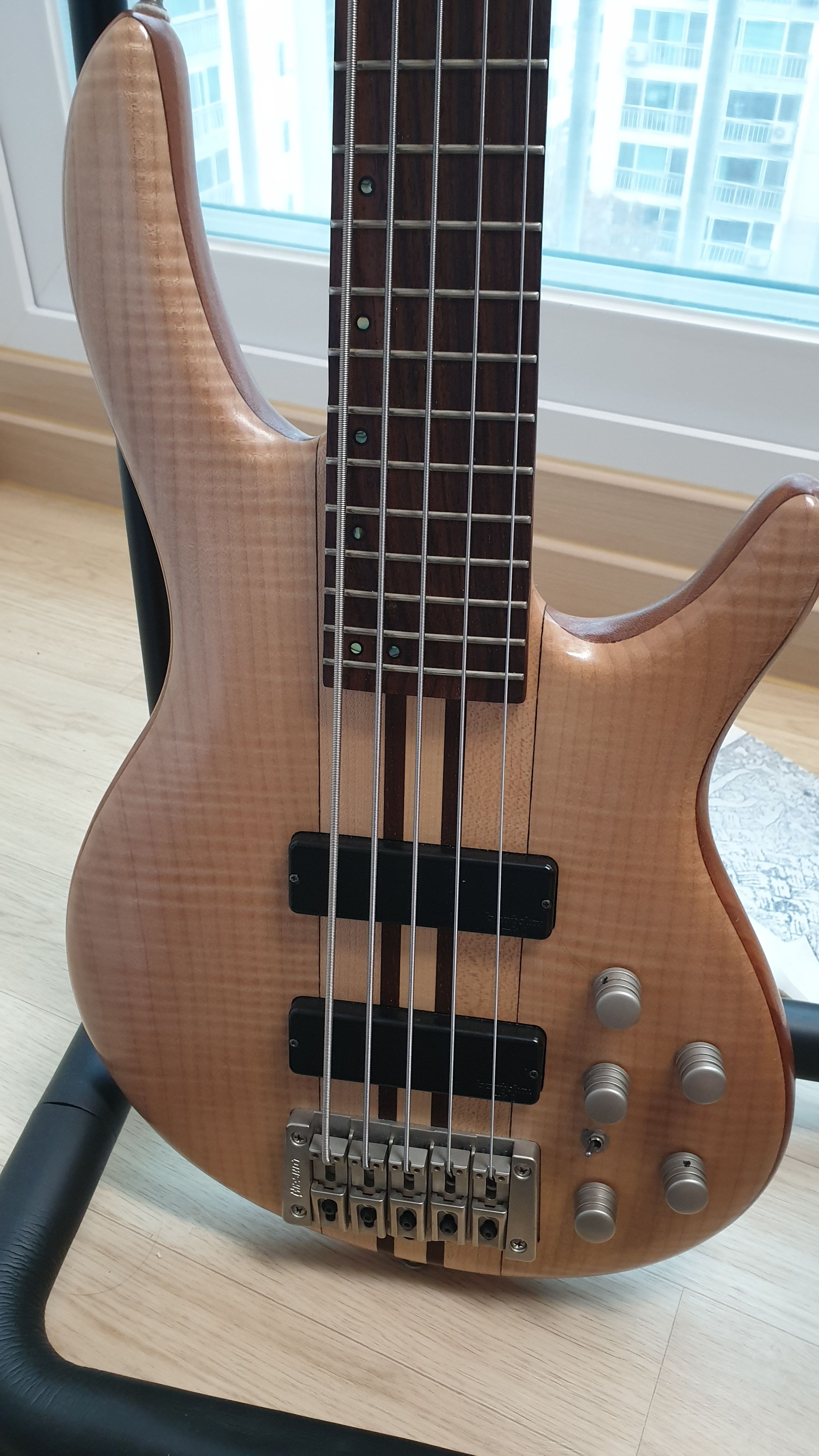 콜트 cort a5 5현 베이스 판매합니다 | 중고악기 뮬