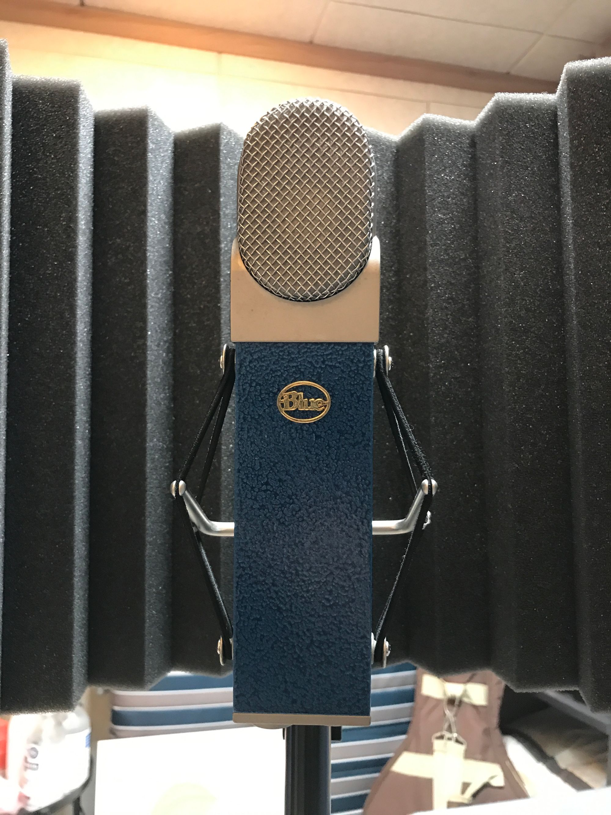 BLUE Blueberry 마이크 판매합니다 (블루베리, Blueberry mic, 블루마이크) | 중고악기 뮬