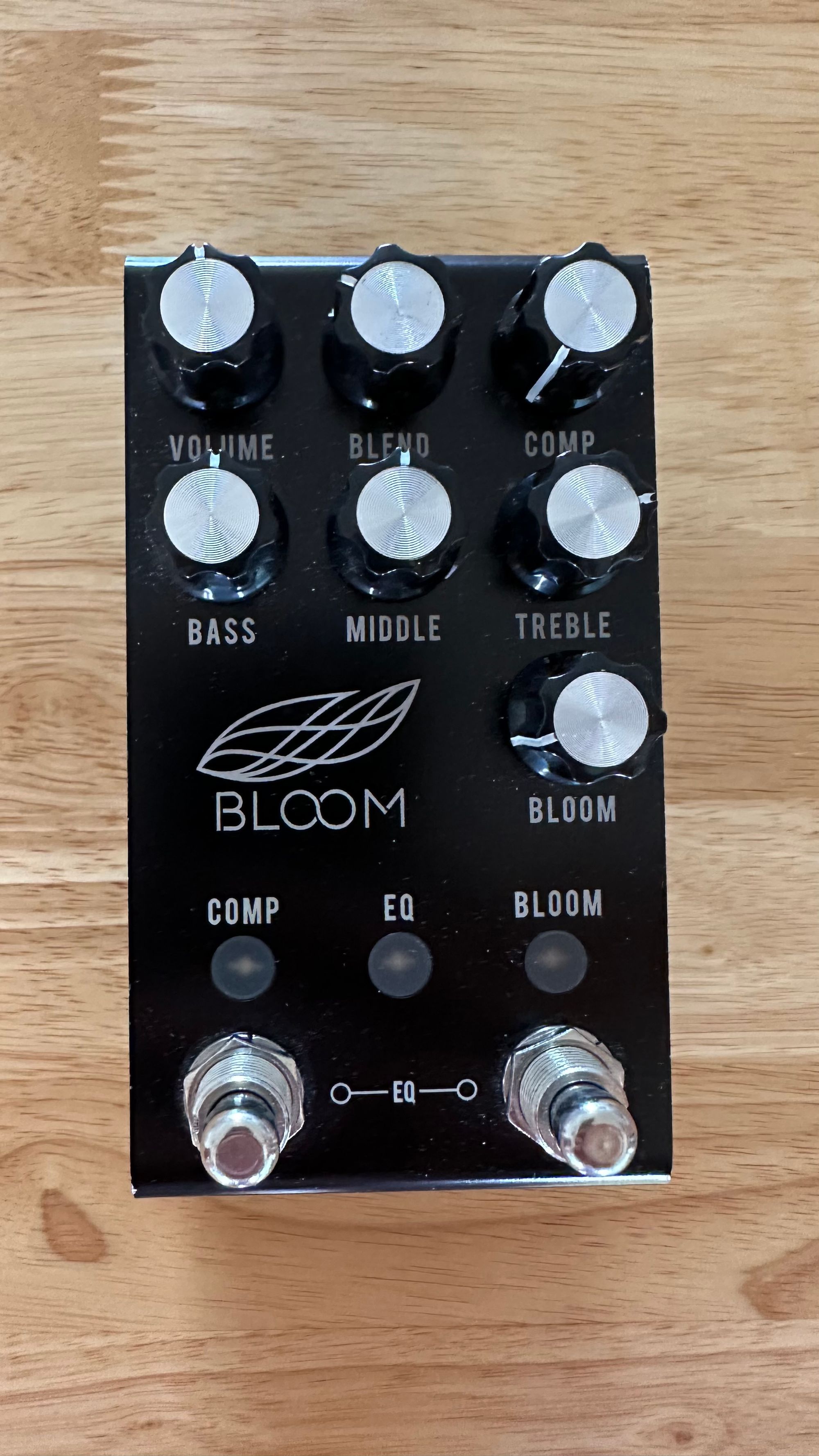 Jackson audio Bloom v2 black | 중고악기 뮬