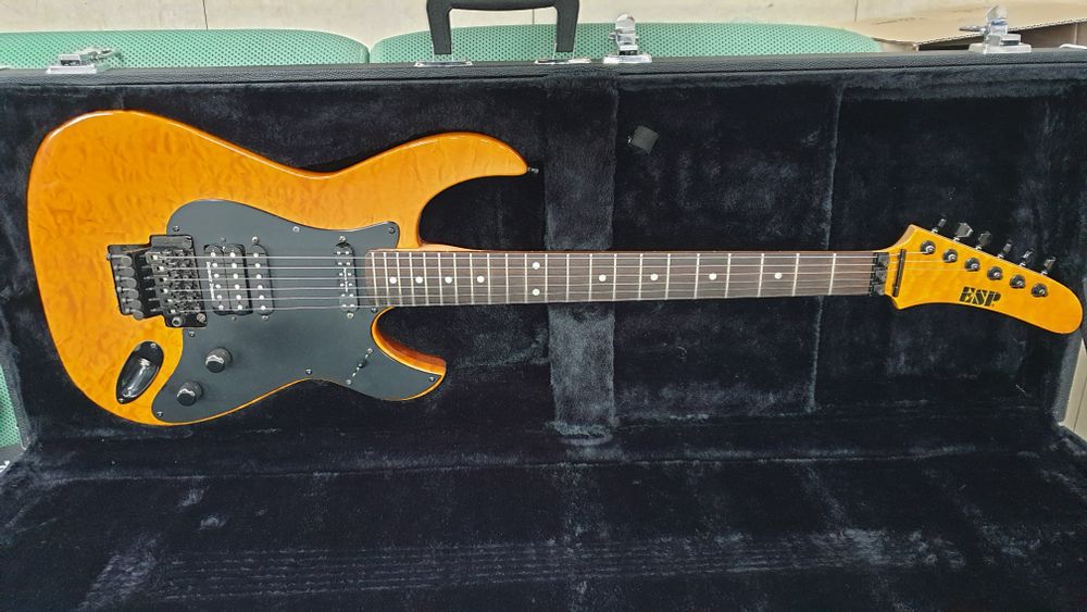 ESP SEC-280TC ALFEE Custom.... | 중고악기 뮬