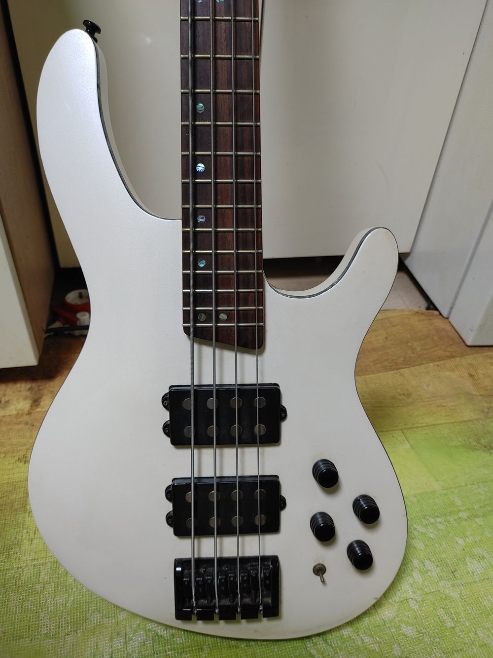 콜트 베이스(Cort bass C4h) 국내 단종 모델 | 중고악기 뮬