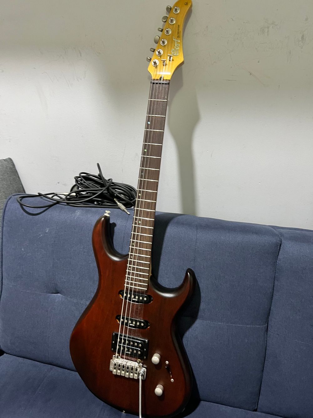콜트cort g254 팝니다. | 중고악기 뮬